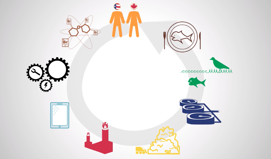 PBDE Chemicals in the Great Lakes – Allison Voglesong Zejnati's Video ...